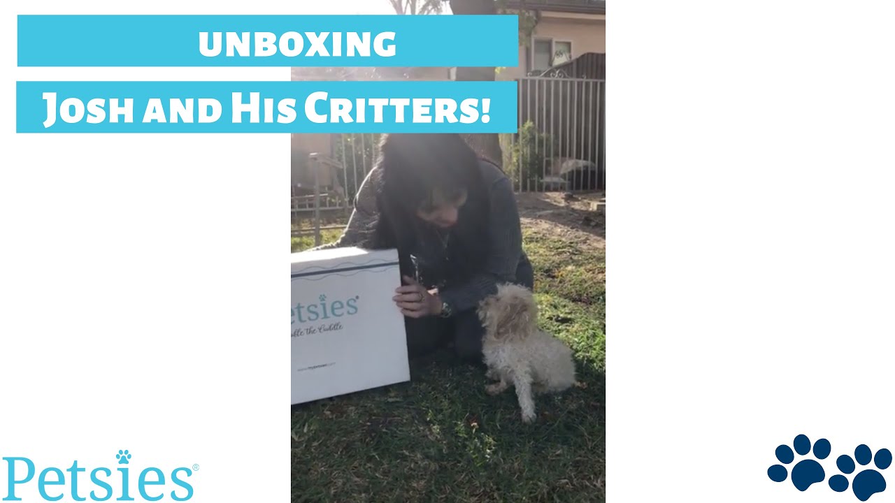 Josh and His Critters Get Surprised with Special Needs Dog Plush - YouTube