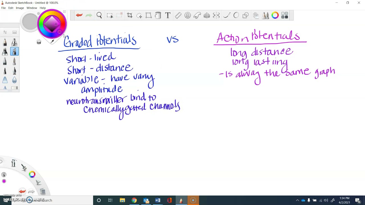 Chapter 12: GP vs AP - YouTube