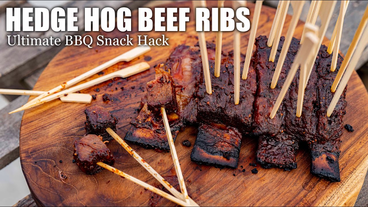 I Created HEDGE HOG BEEF RIBS the Ultimate BBQ PARTY HACK - YouTube