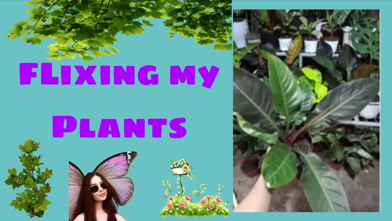 Flexing The Beautiful Plants - YouTube