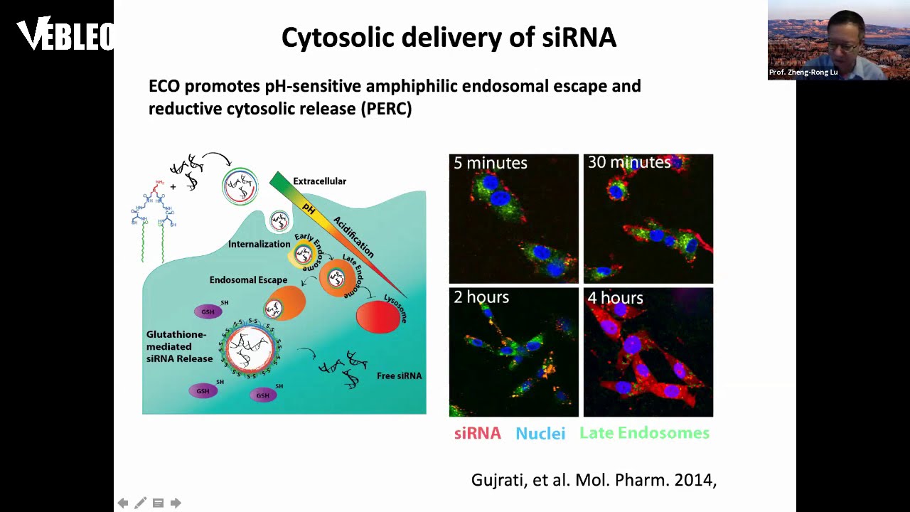 Case Western Reserve University | United States | Prof. Zheng-Rong Lu ...