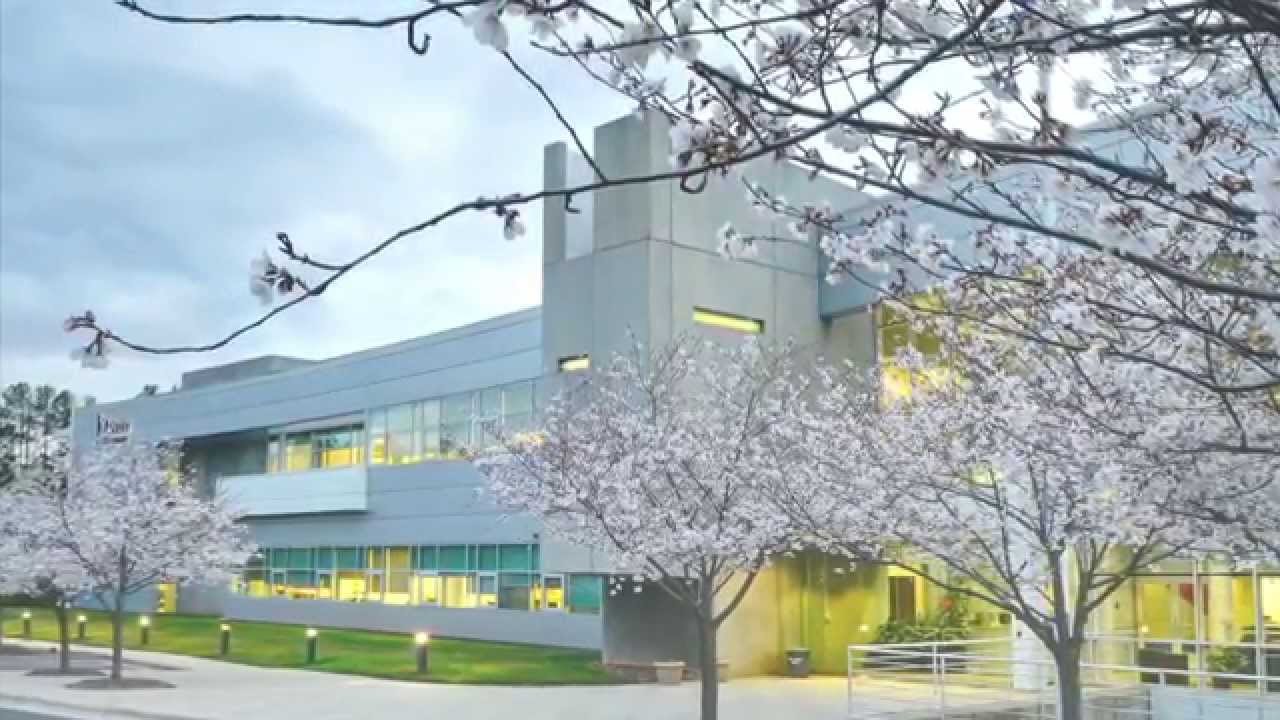 Stiefel, a GSK Company - 165 Years of History - YouTube
