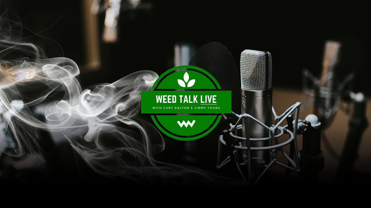 The one and only Tommy Chong joins Weed Talk with Curt and Jimmy! - YouTube