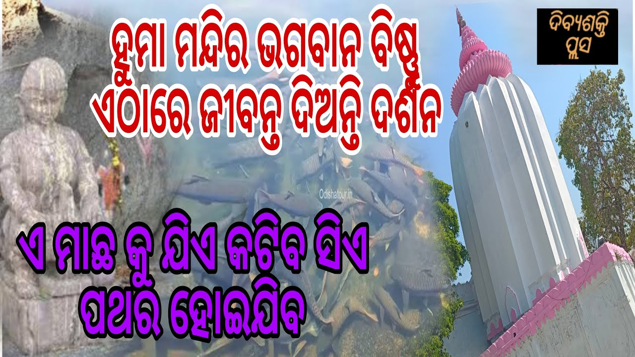 MALIKA BARNITA#Huma Temple Mystery !! Huma Mandir Sambalpur#bimaleswar ...