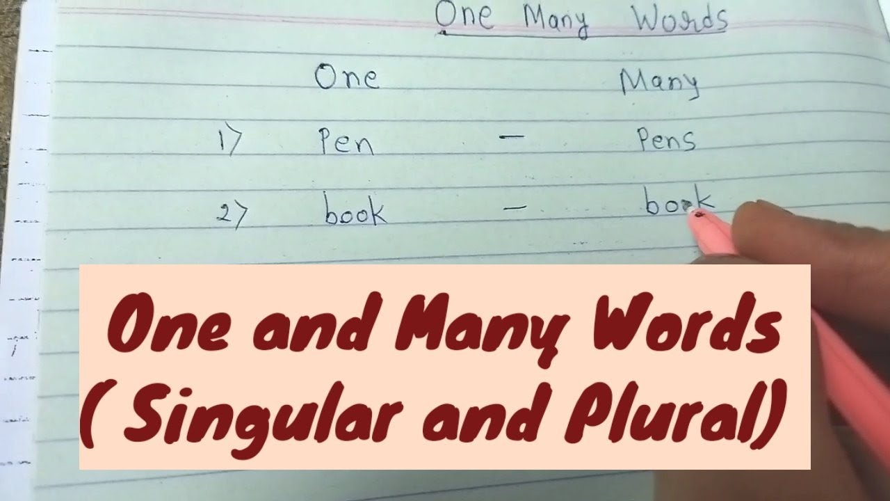 Let's learn one many words- Singular and Plural Words | One many words ...