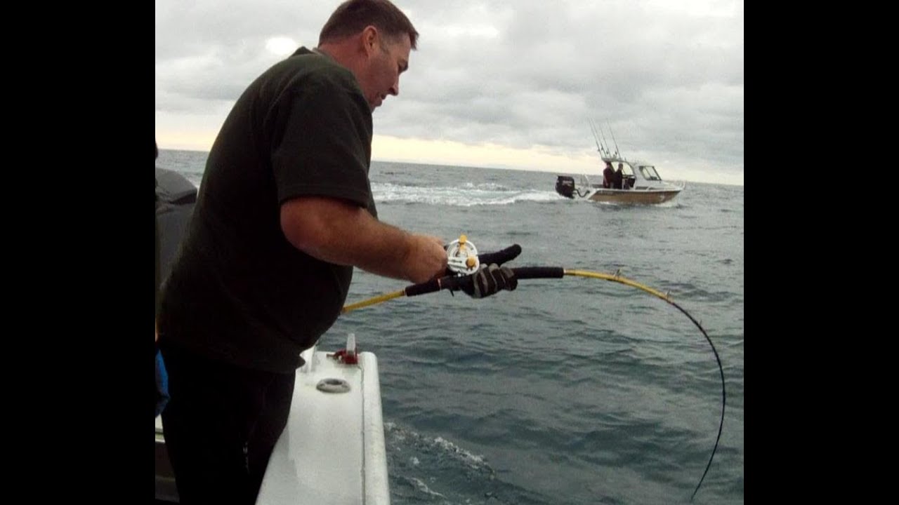 Jigging Master Enchanter Special Kingfish Tamer - YouTube