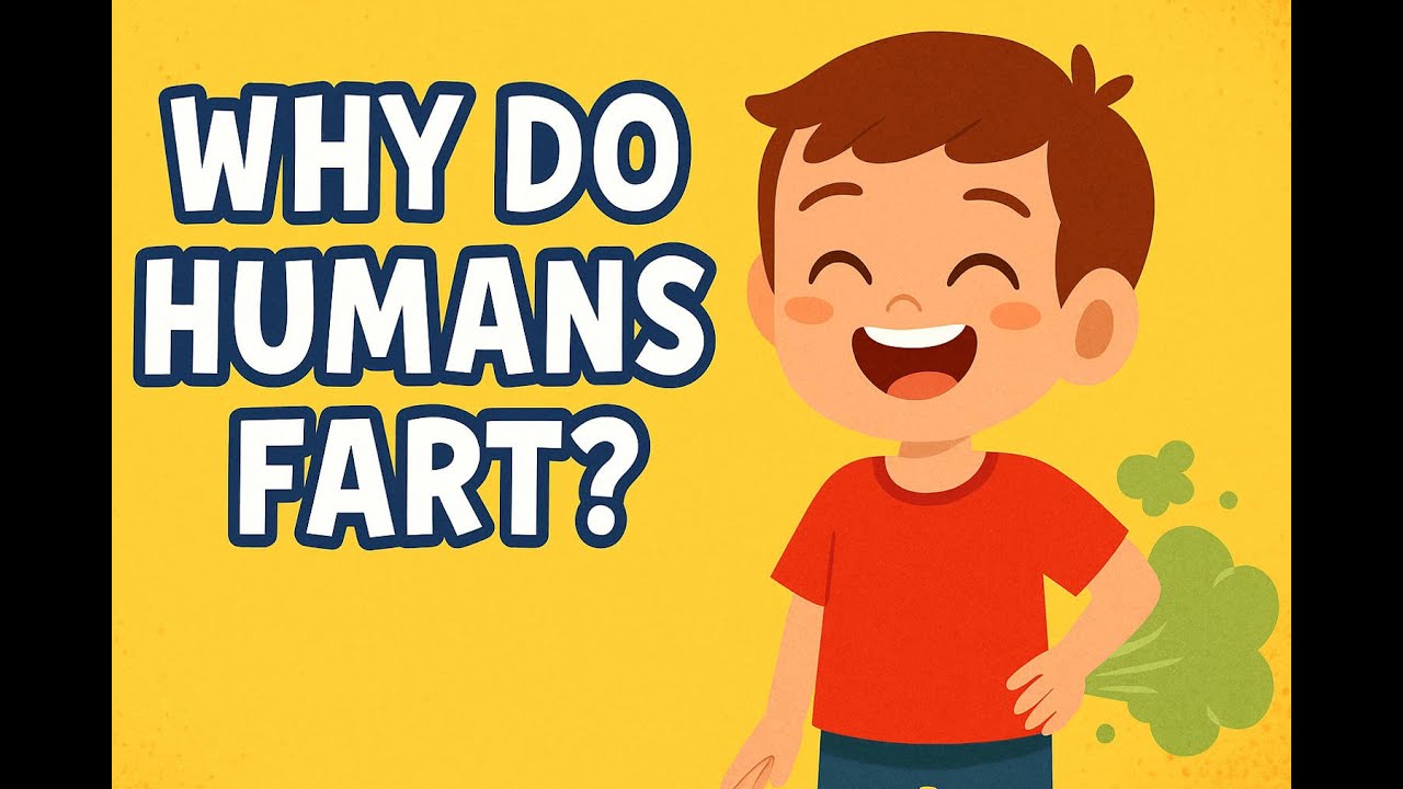 Why Do Humans Fart | Why Why Land Kids Science - YouTube