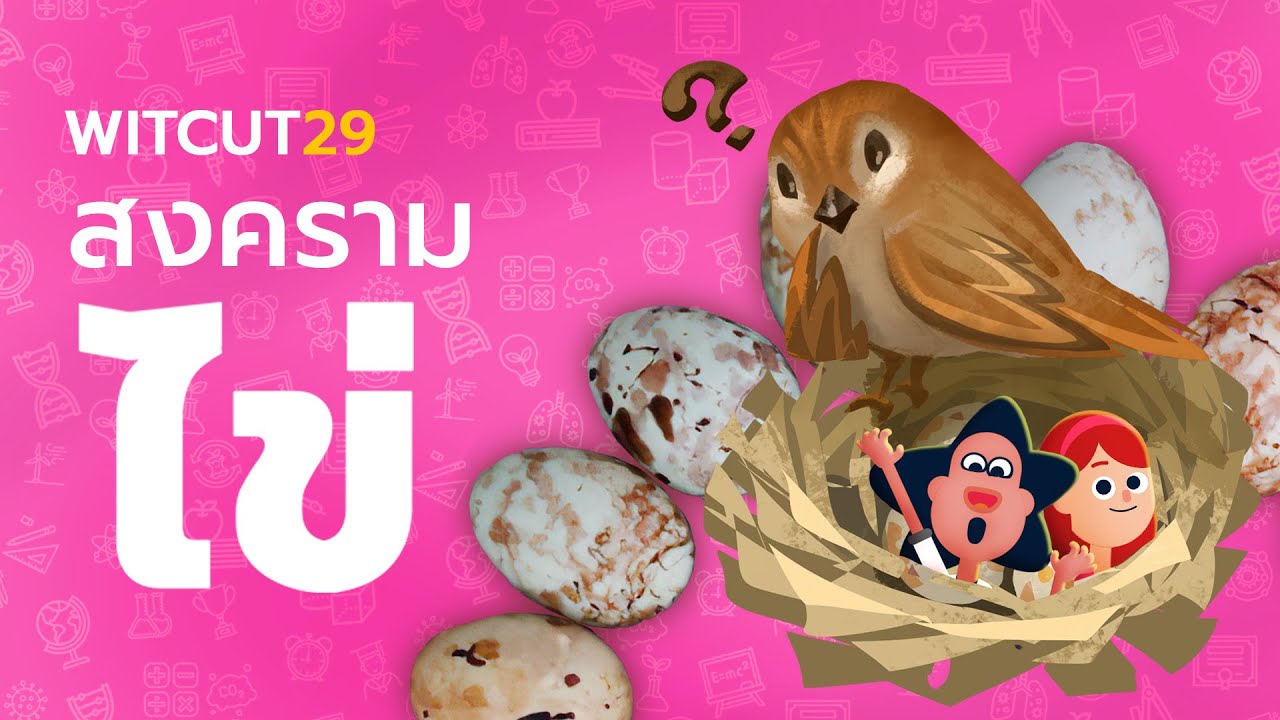 WiTcut:29 "สงครามไข่" ย้อนกลับไปฟัง WiTcast ตอนแรก - YouTube