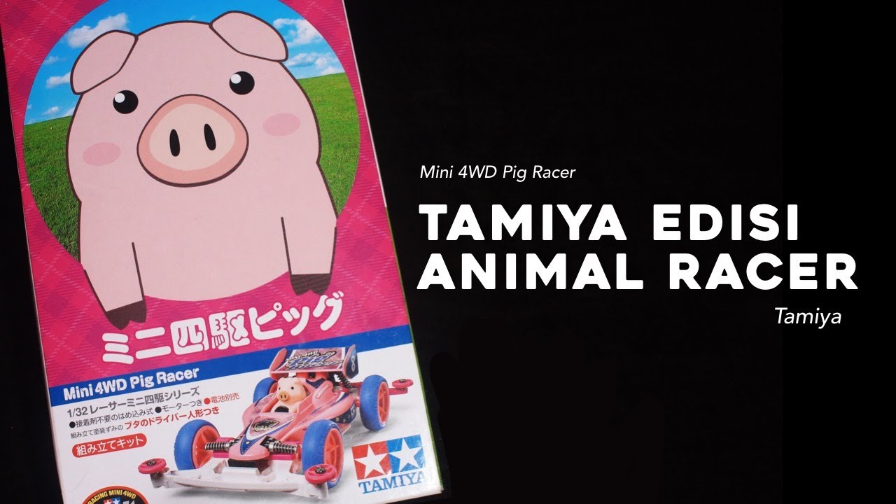 UNBOXING BUILD TAMIYA PIG RACER | Mobil tamiya edisi animal! - YouTube