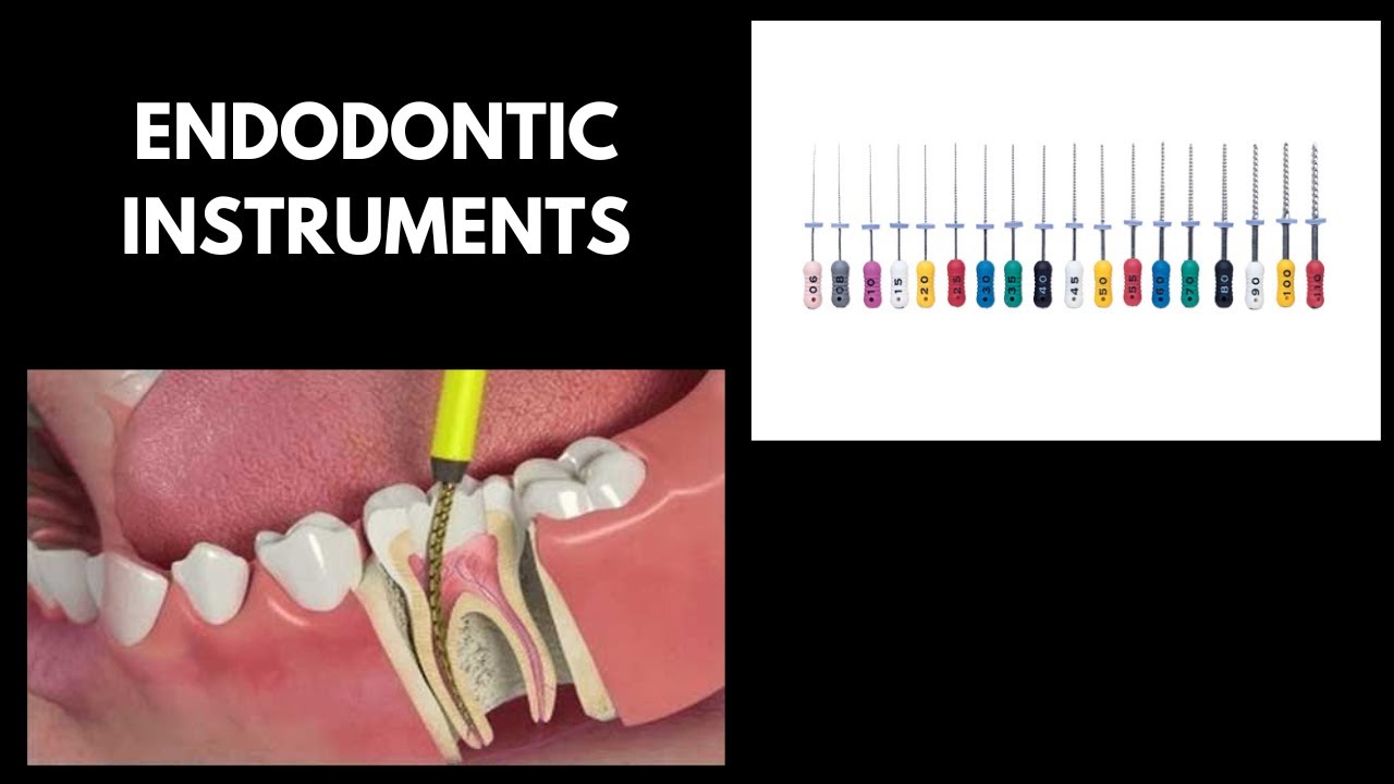 Endodontic Instruments || BDS# endodontics - YouTube