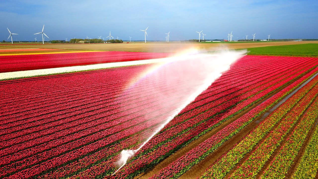 M2M-system for irrigation - YouTube