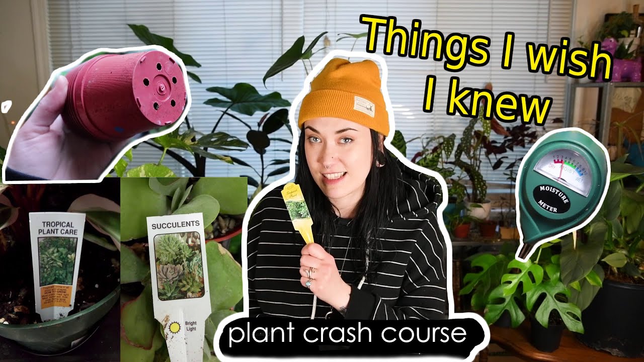 🌿House Plant Crash Course -- Things I Wish I Knew as a Beginner!🌿 - YouTube