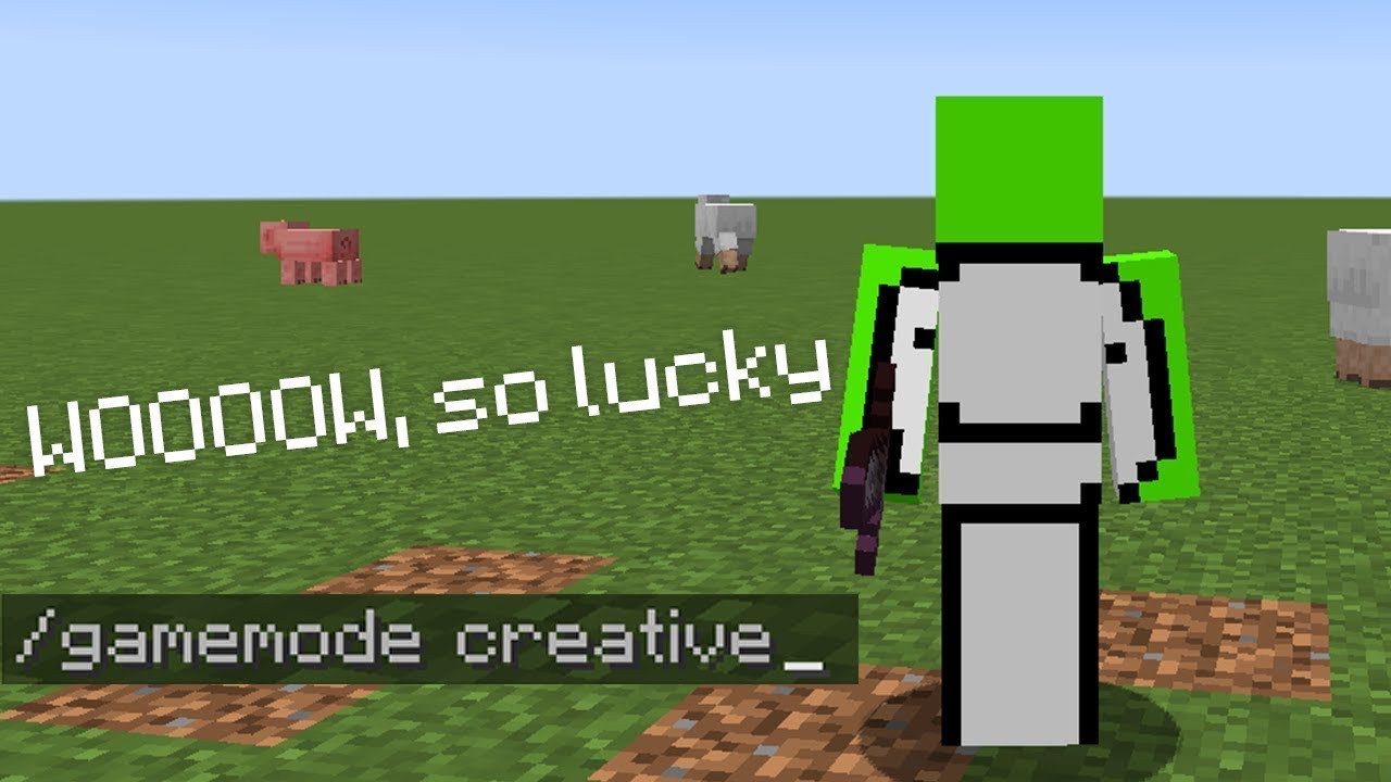 fake dream's minecraft speedrun be like - YouTube