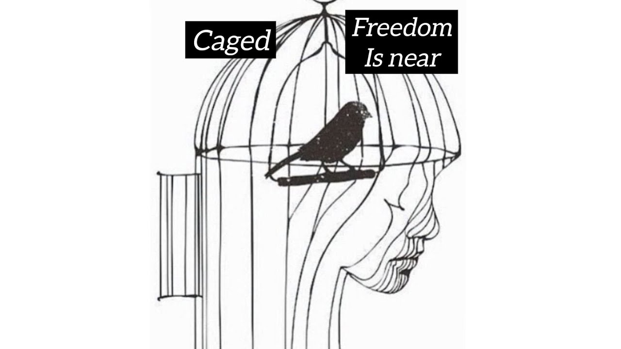 A perspective on the caged bird mentality! - YouTube