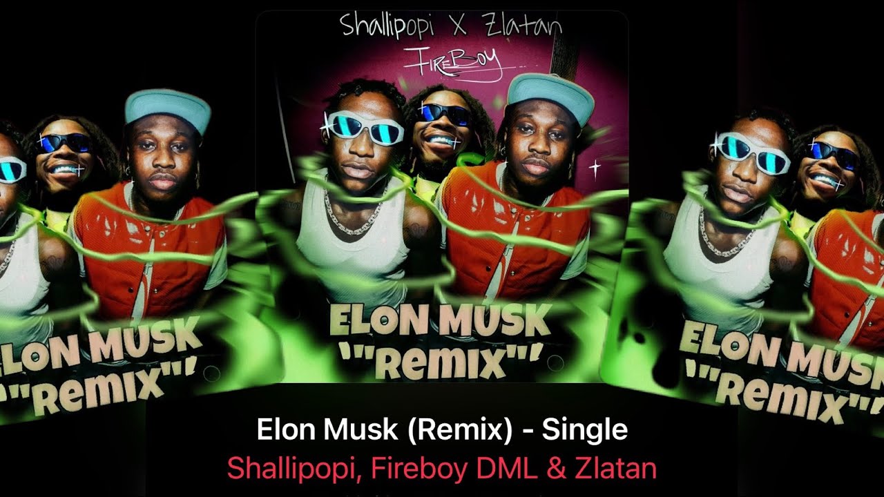 Elon Musk Singer Shallipopi Is Out & Back With A New Song After Arrest ...