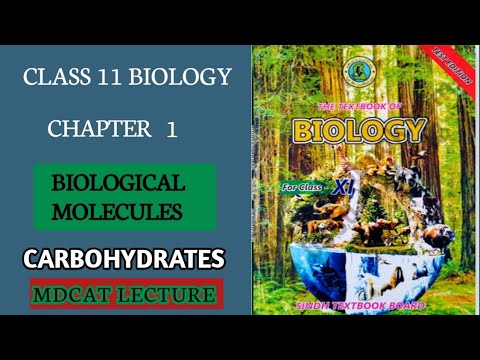 Carbohydrates Biology mdcat || Classification of Carbohydrates || 11th ...