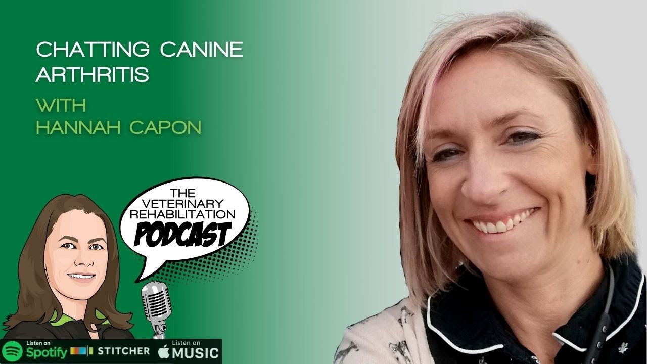 Chatting Canine Arthritis, with Hannah Capon - YouTube