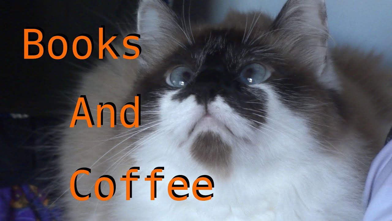 Taking a Break (with cat) - YouTube