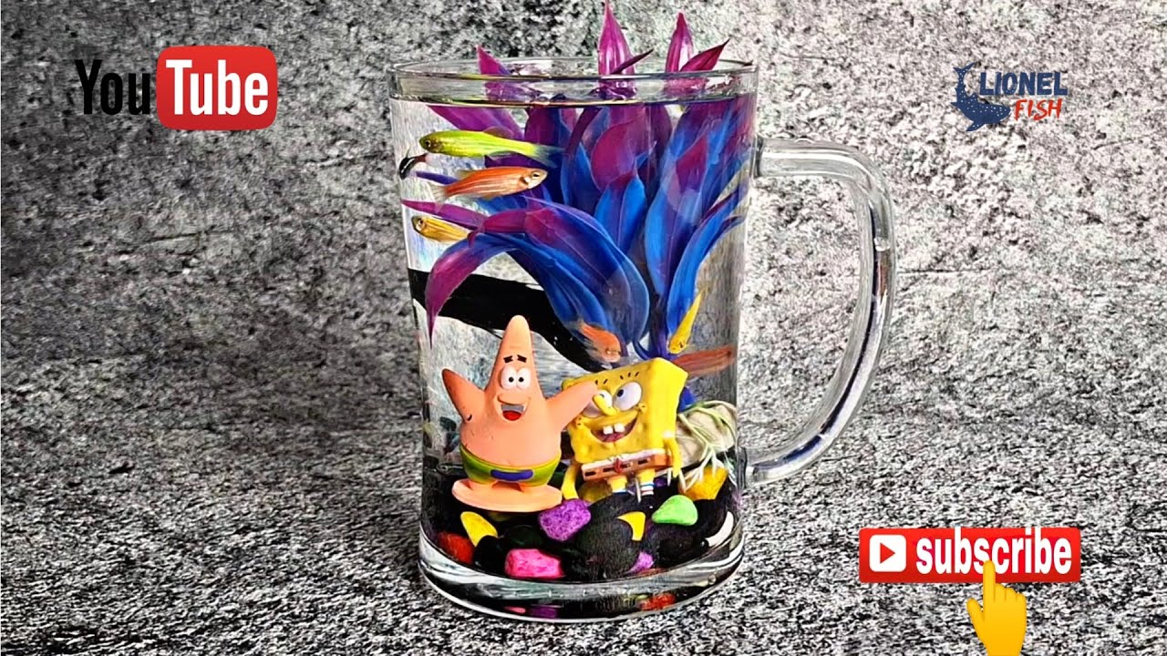 Collection of Cute Animals Videos, Kuhli Loach Fish, Goldfish, Danio ...