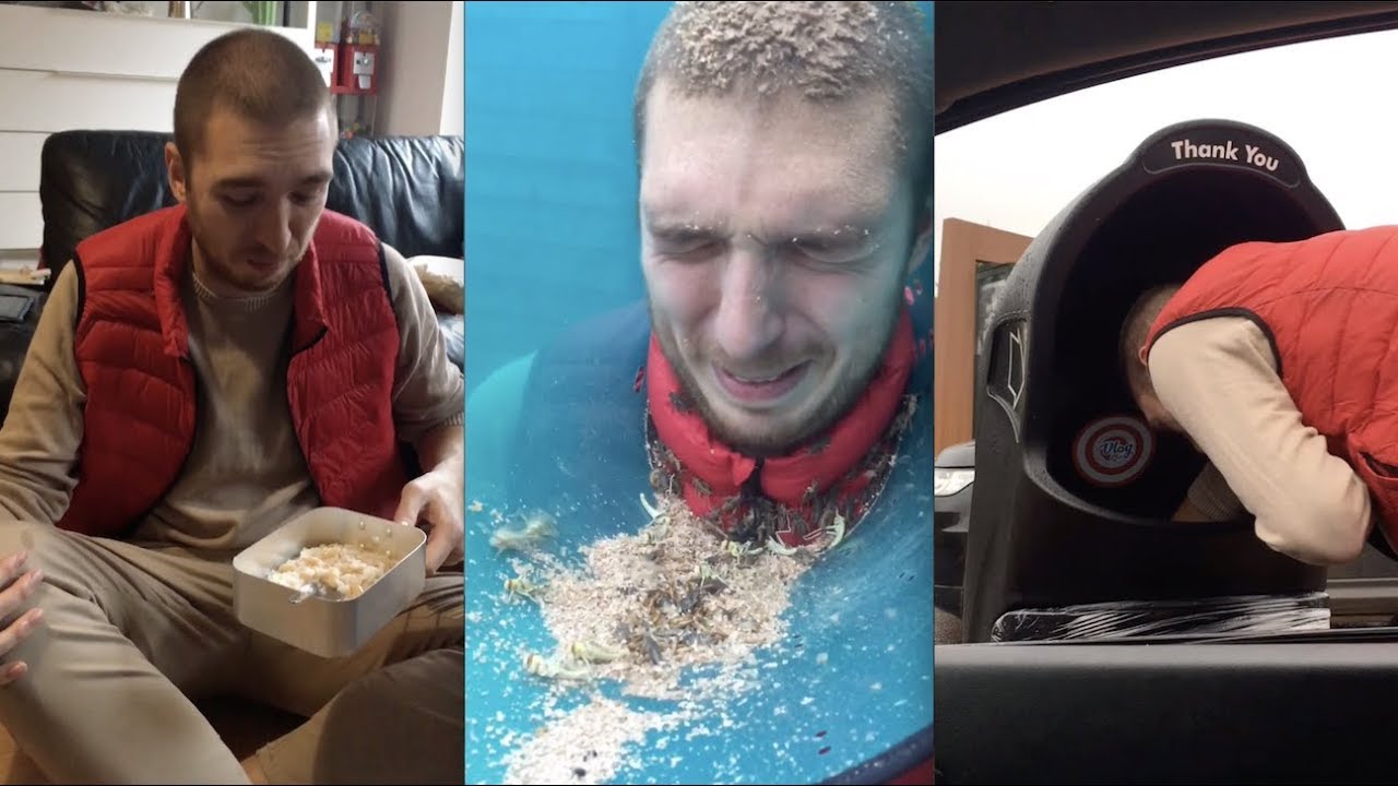 When Dad auditions for I’m a Celebrity... 🦗⭐ - YouTube