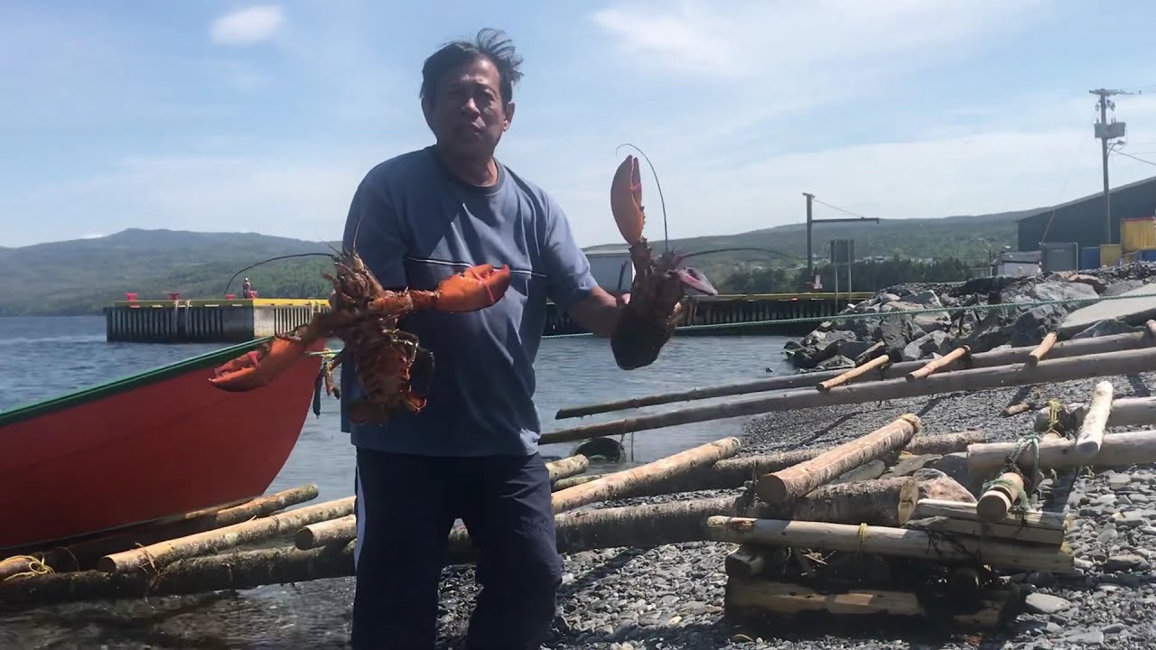Catching Lobsters in Canada - YouTube