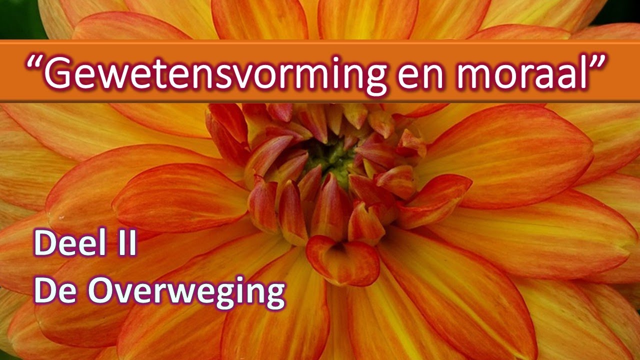Deel II: Overweging 'Gewetensvorming en moraal' - YouTube