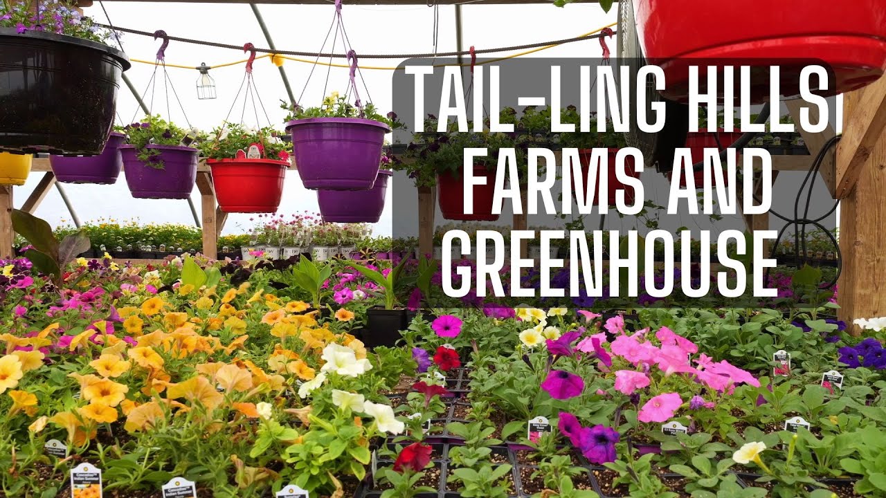 Tail-Ling Hills Farm and Greenhouse - YouTube