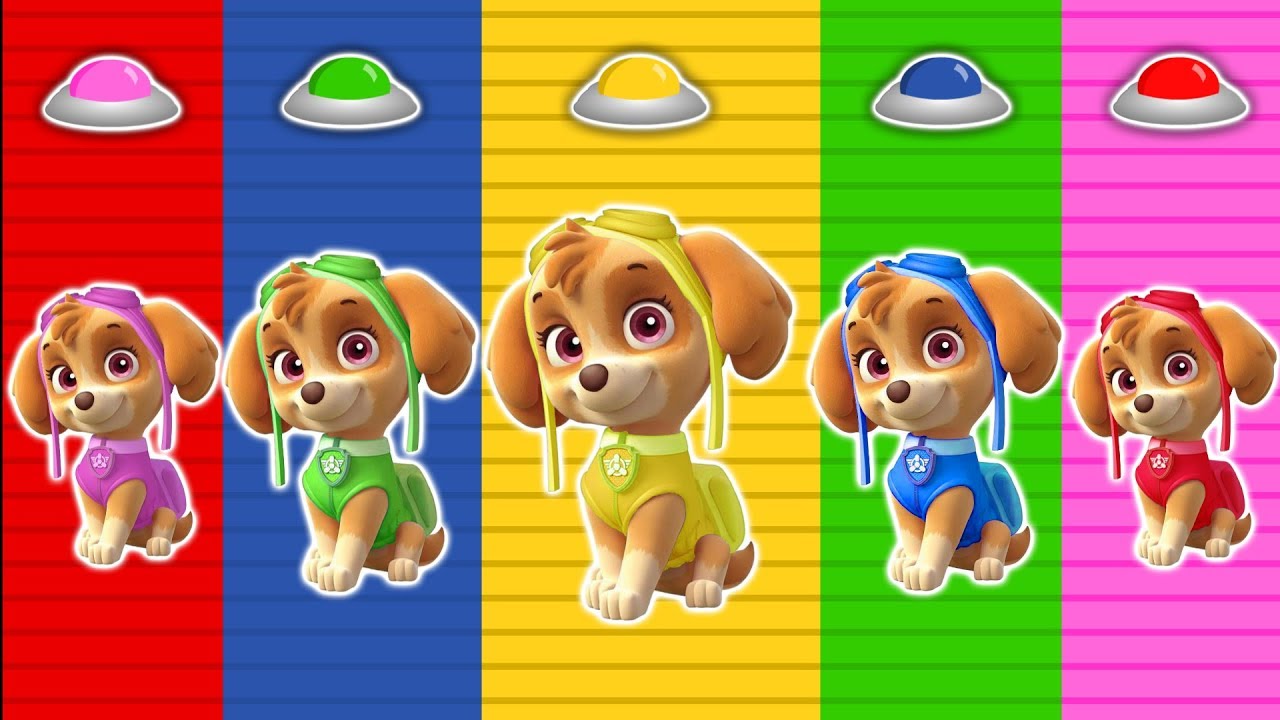 Learning Colors With Kids Paw Patrol Skye Character Colors - YouTube