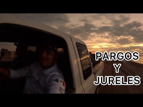 PARGOS Y JURELES DE ORILLA// playa San José, Sonora