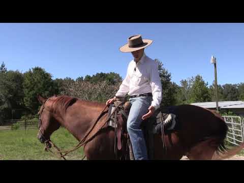 Trotting Secrets!!!