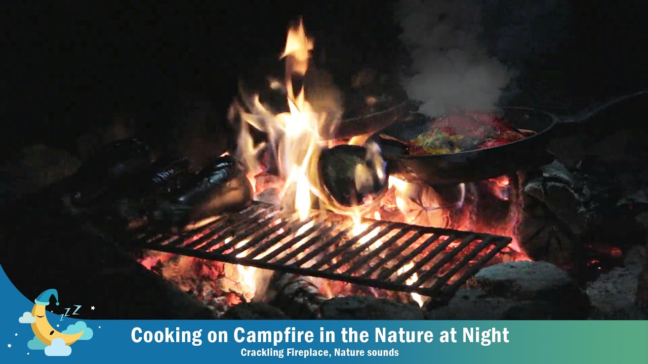 Cooking on Campfire in the Nature at Night, Crackling Fireplace, Nature ...