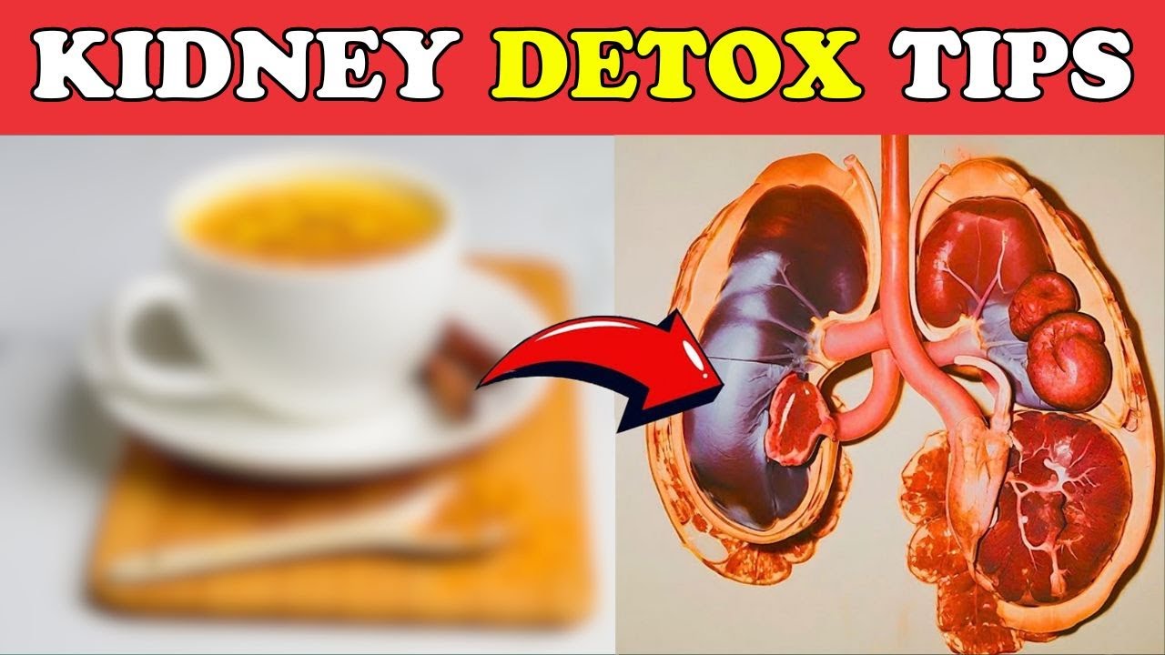 Cleanse Your Kidneys Naturally with These 7 Simple Tips | Healthy Care ...