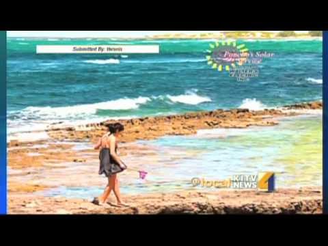 KITV: Turtle Bay Resort Tide Pools - YouTube