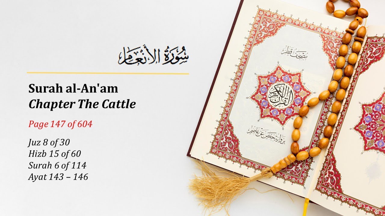 al-Quran | Page 147 | Juz 8 | Surah 6 Ayat 143 – 146 | Sheikh Muhammad ...