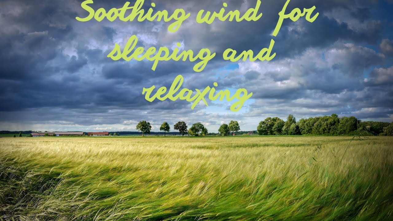 wind sound wind sounds wind sounds for sleep - YouTube