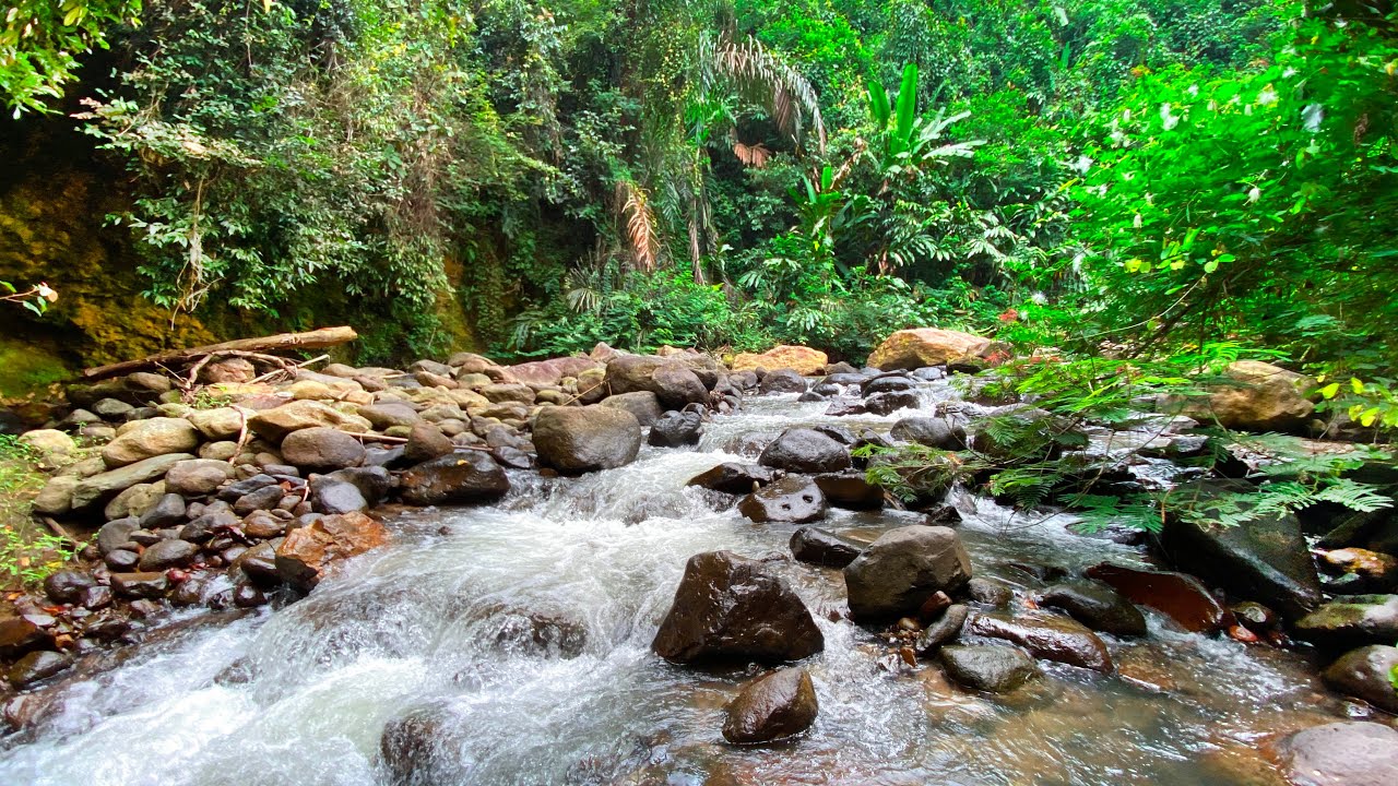 Ease Stress to Sleep Soundly with River Rapids Sounds in Serene ...