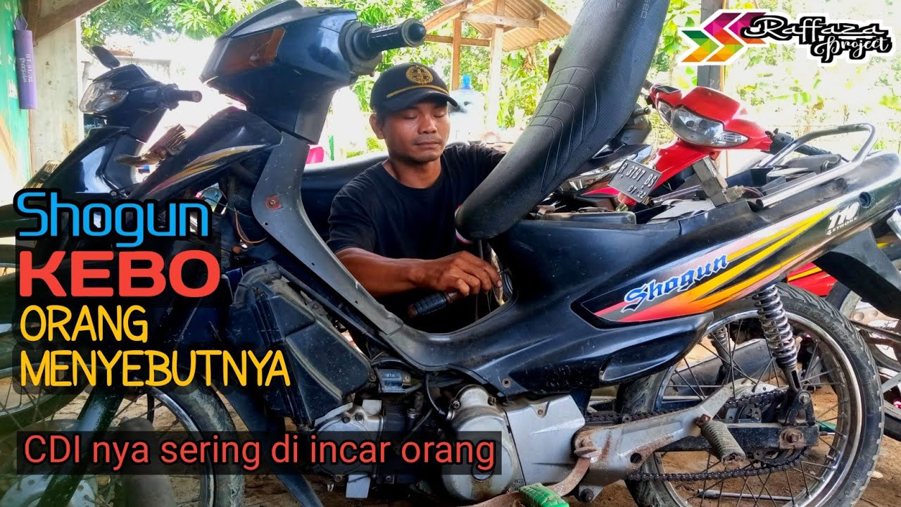 SHOGUN KEBO MENOLAK PUNAH || BELAJAR PENGAPIAN SEPEDA MOTOR - YouTube
