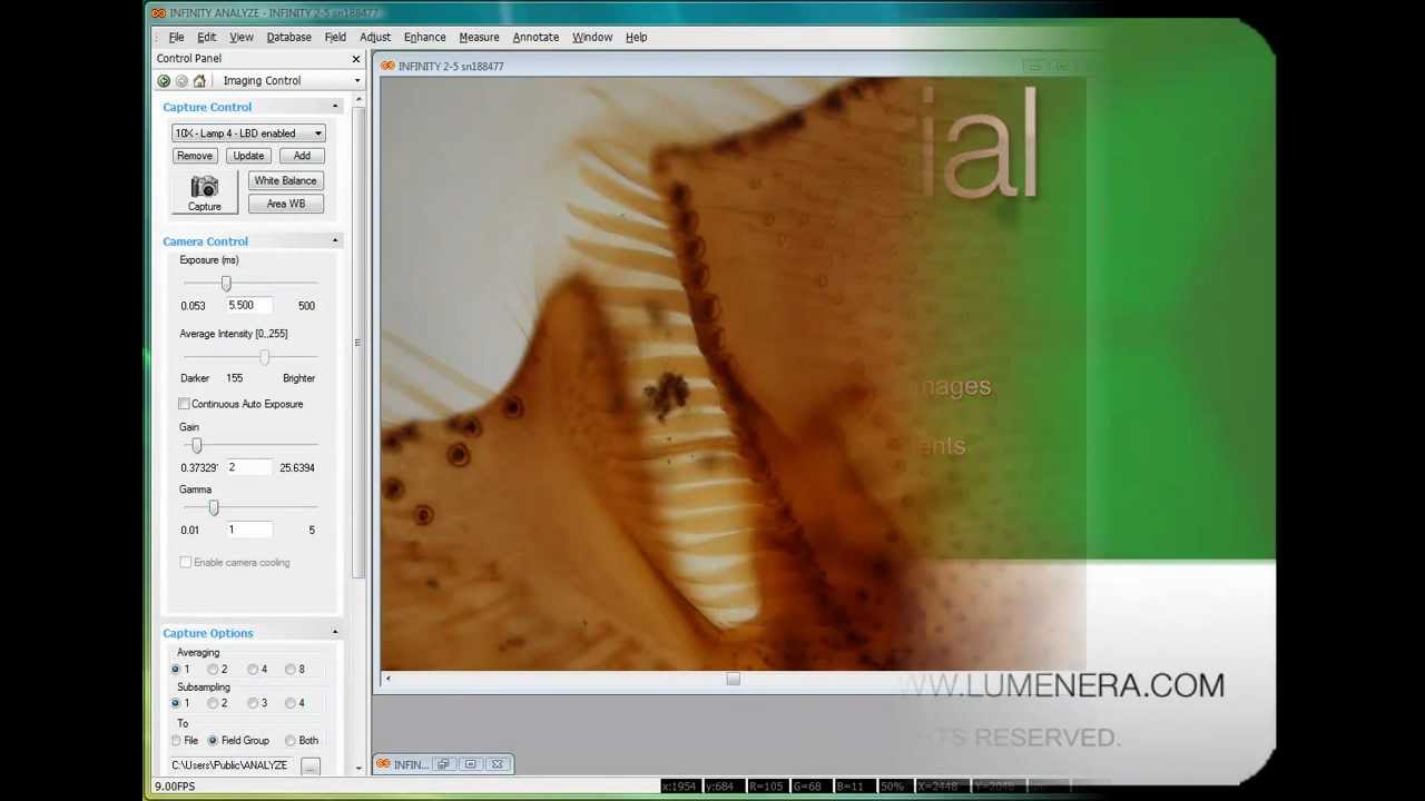 Lumenera's INFINITY ANALYZE Software Tutorial: Dynamic Zoom Function ...