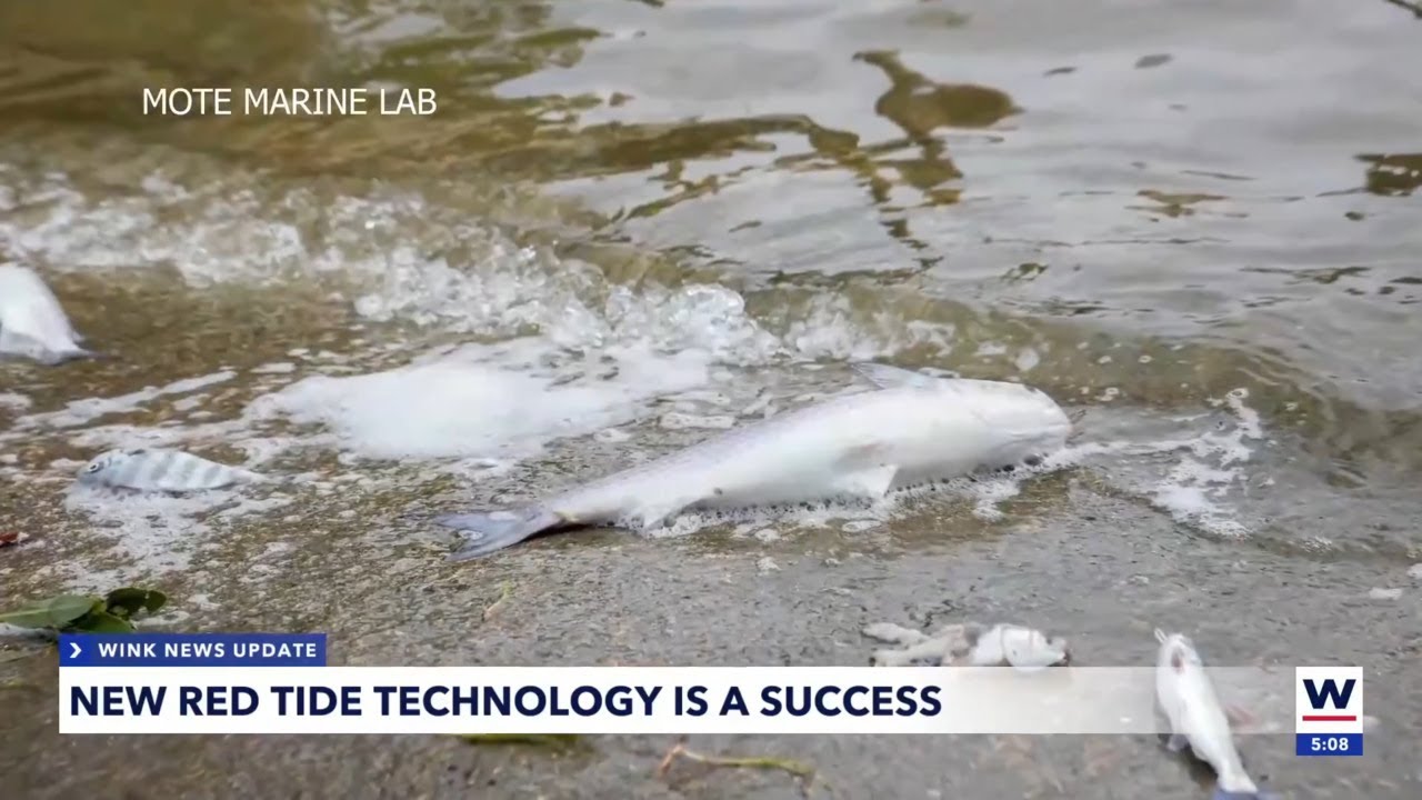 New red tide technology is a success - YouTube