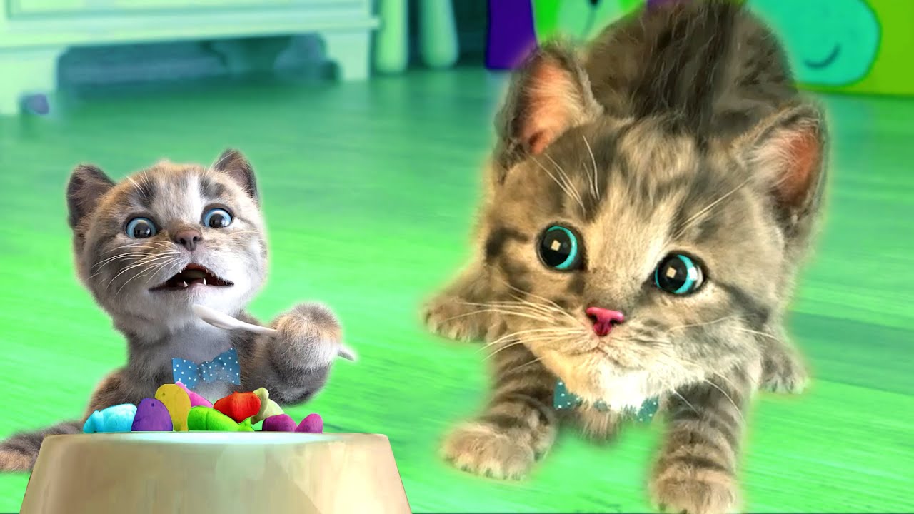 FUNNIEST LITTLE KITTEN MY FAVORITE CAT - THE STORY OF A LITTLE KITTEN ...