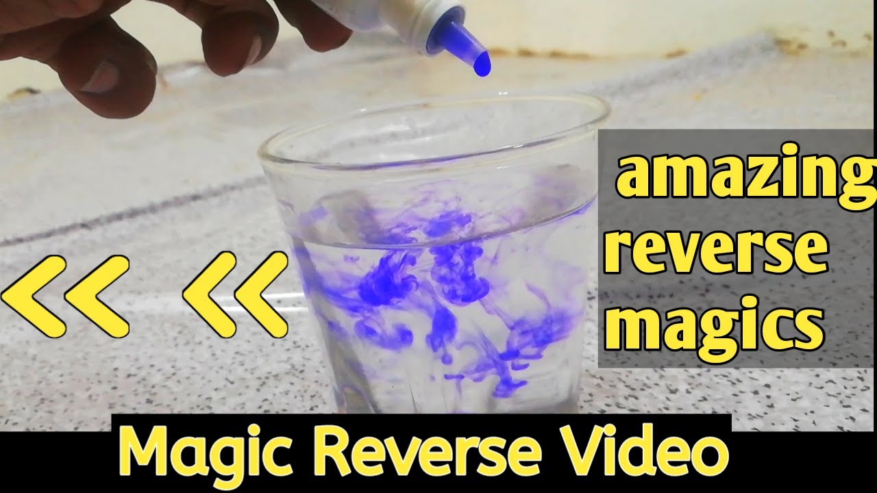 2 Best Reverse Video Ideas / 2 Amazing Reverse Magics - YouTube