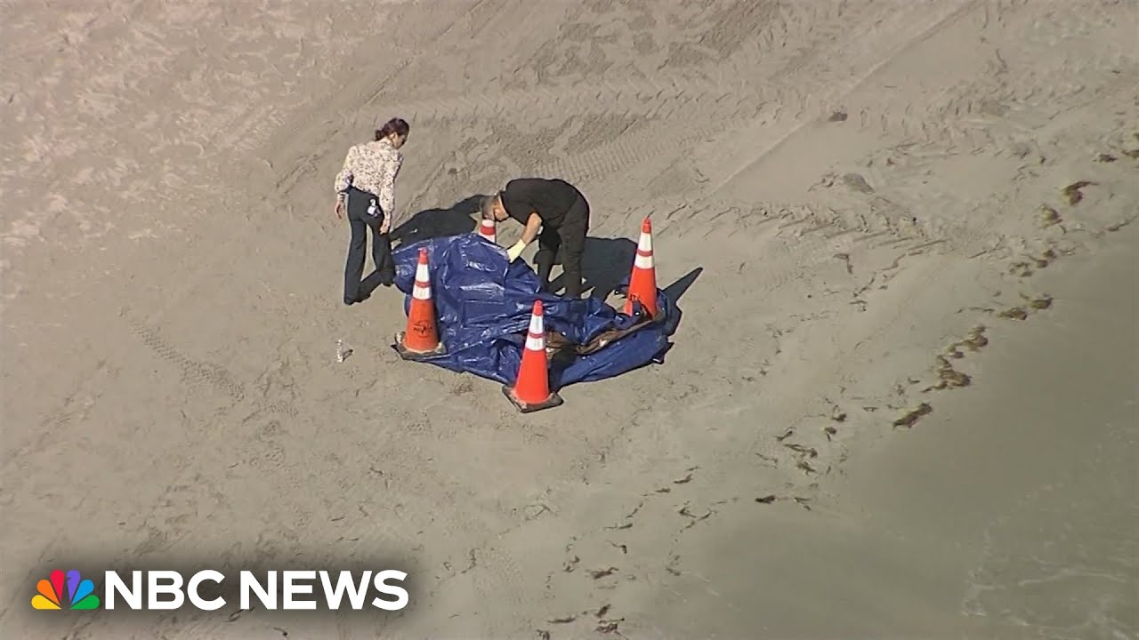 Human head washes ashore on Florida beach - YouTube