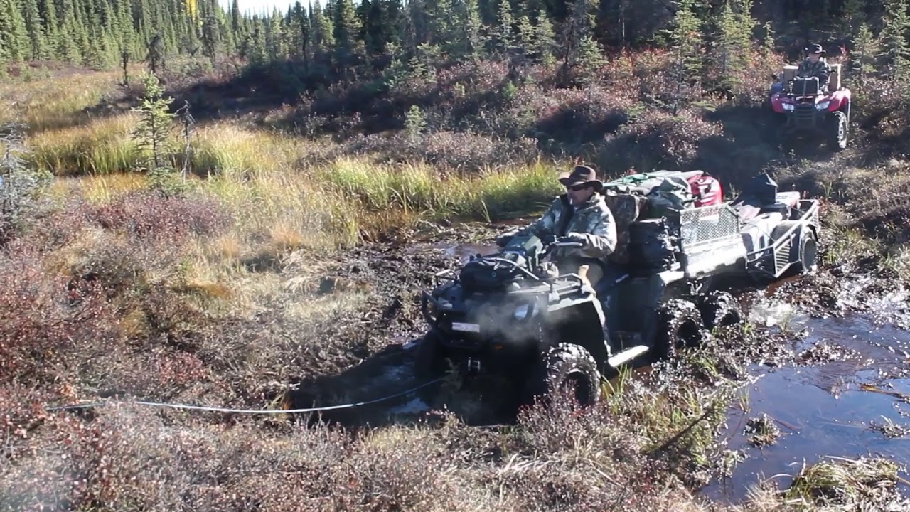 MOOSE CAMP 2018 - YouTube