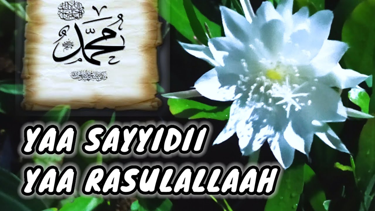 Yaa Sayyidii Yaa Rasulallaah | Sholawat Merdu - YouTube