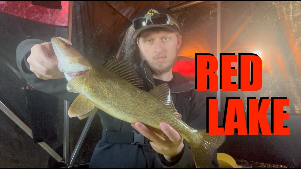 RED LAKE Ice Fishing Is CRAZY! - Limiting Out! - YouTube