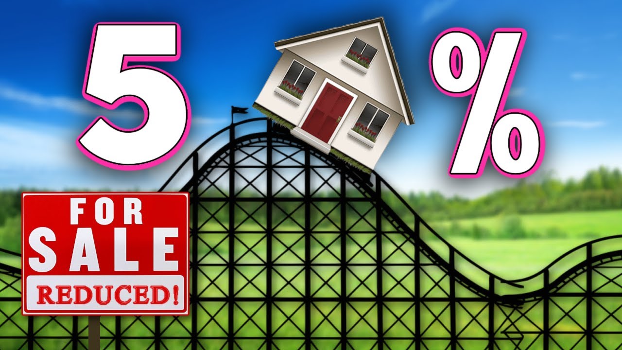 Roller Coaster Interest Rates Could End The Housing Market Haydays ...