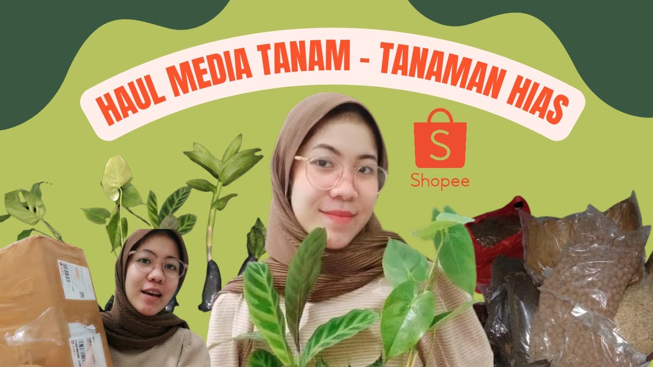 Shopee haul media tanam & tanaman hias murah - YouTube