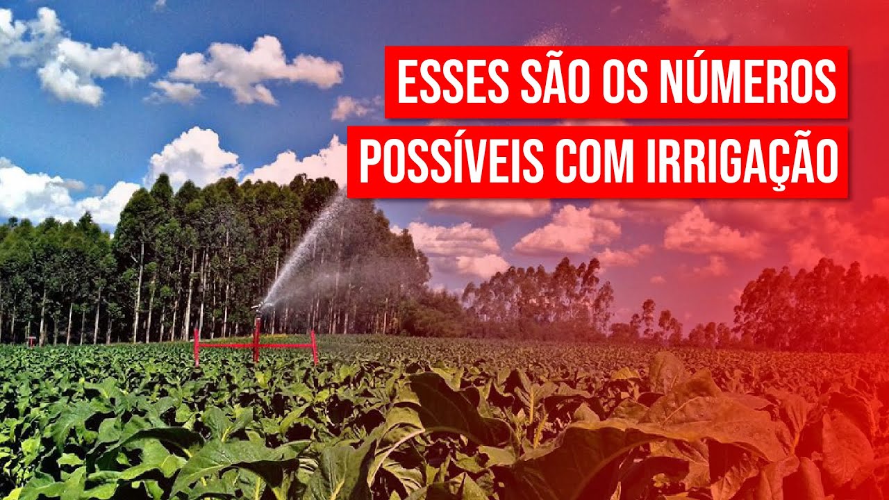 Como dobrar sua produção com irrigação Irrigat - YouTube