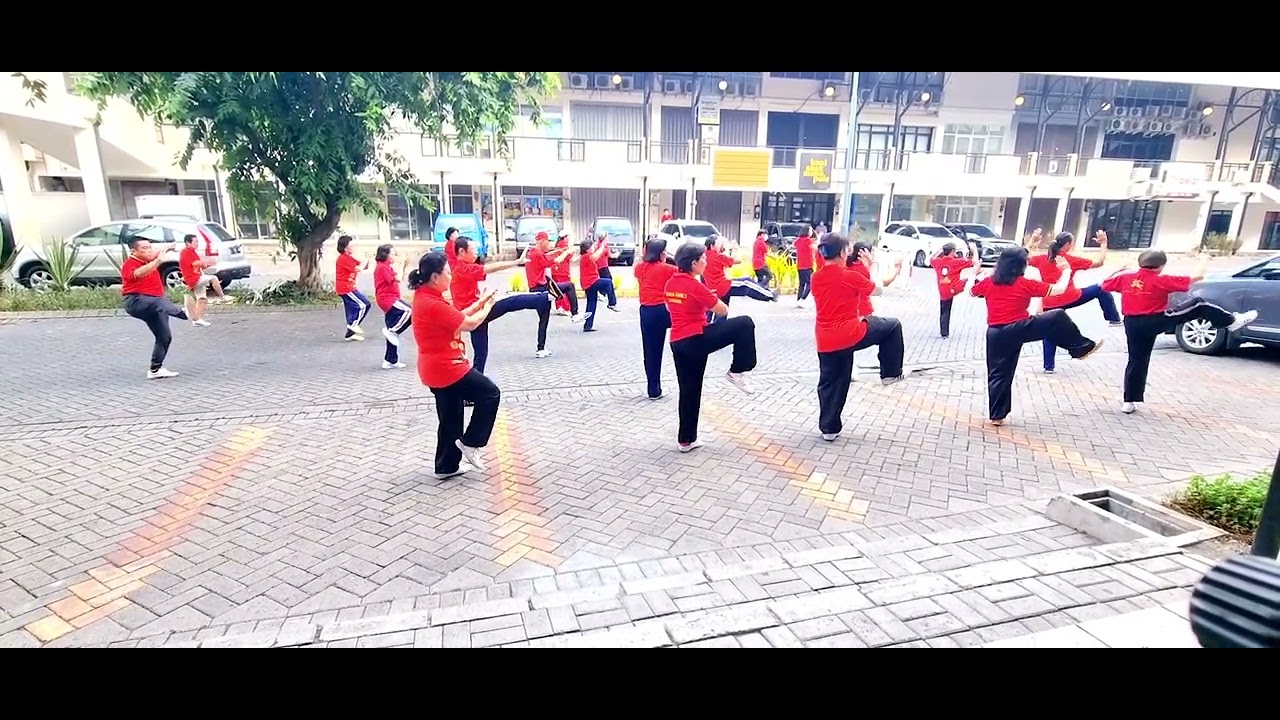 Taiji Form 24 - YouTube