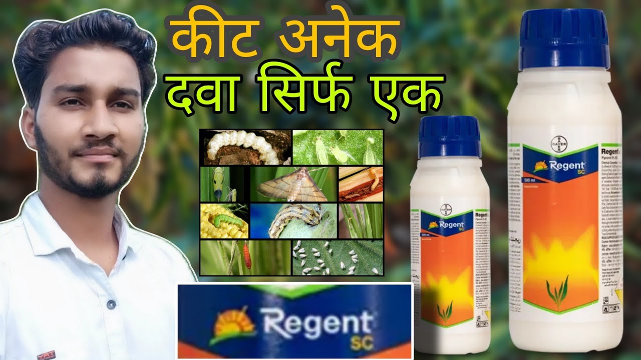 Bayer reagent sc insecticide (Fipronil 5%) हिंदी में - YouTube